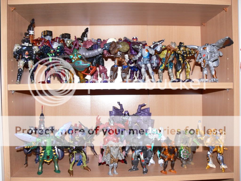 Beast Wars size comparisons | TFW2005 - The 2005 Boards