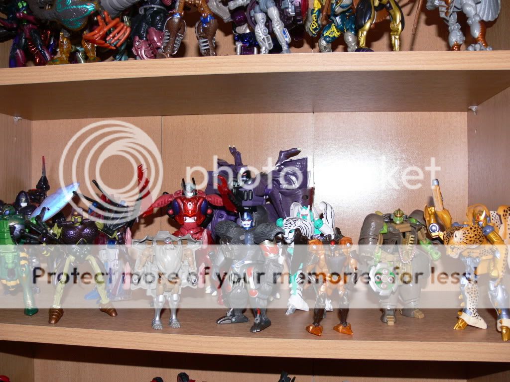 Beast Wars size comparisons | TFW2005 - The 2005 Boards