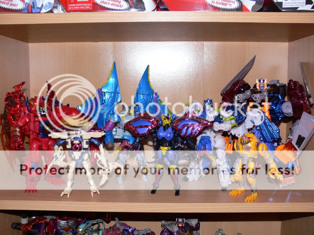 Beast Wars size comparisons | TFW2005 - The 2005 Boards